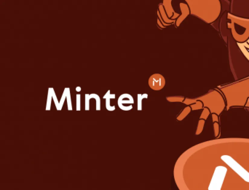 What is the Public Node for Minters?